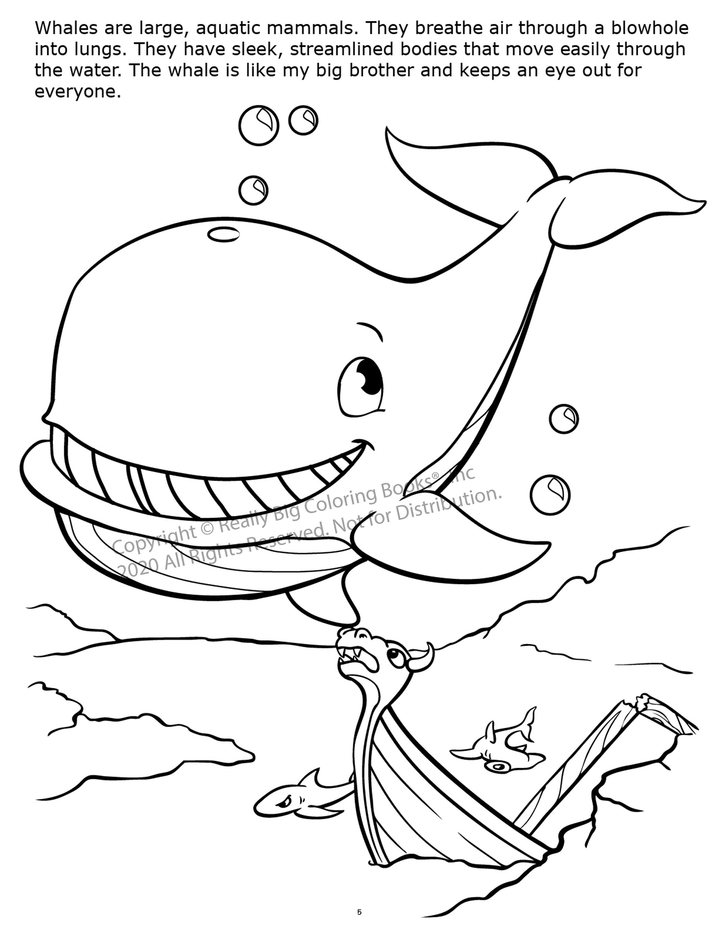 Underwater Adventures Coloring Book 17"x22" - Etsy