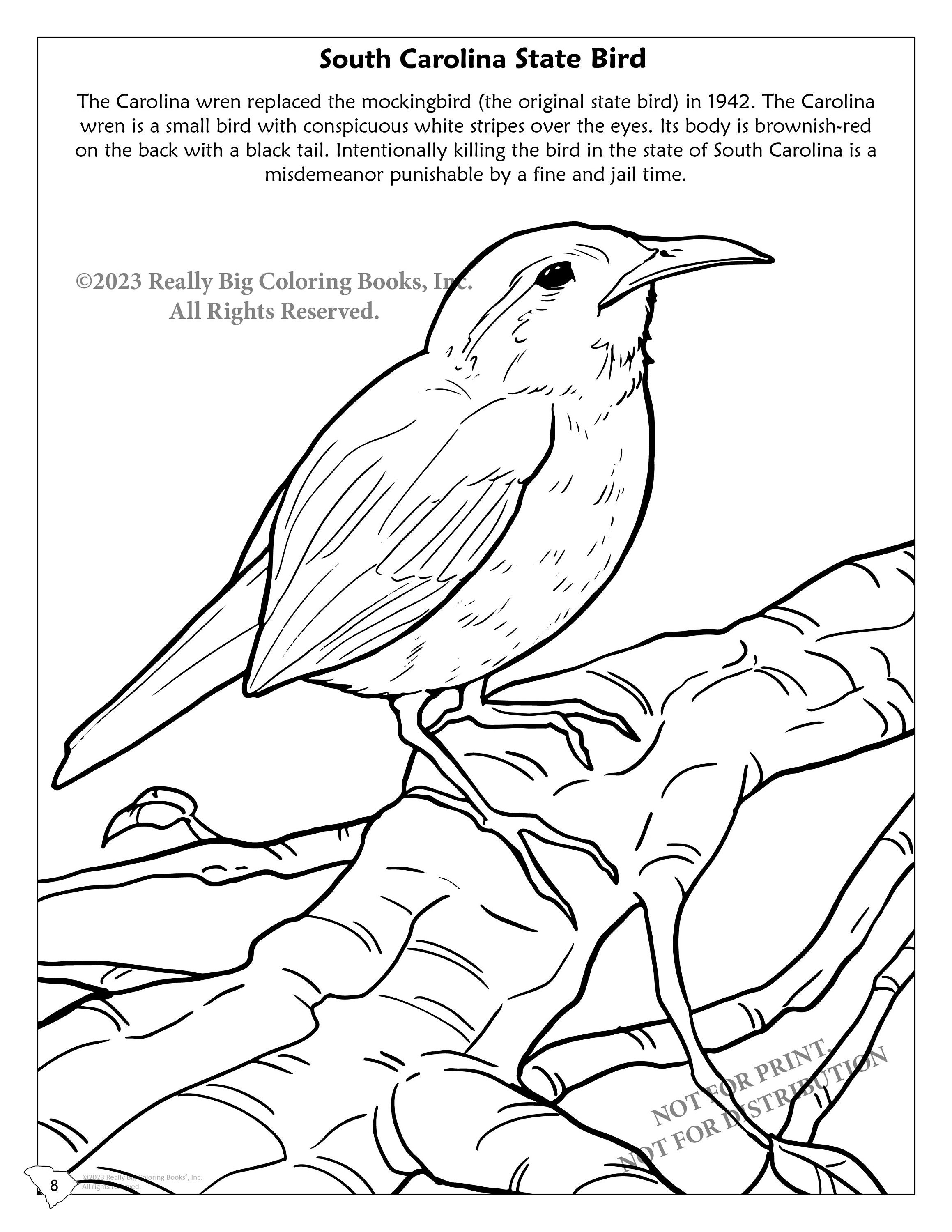 South Carolina State Coloring Book - Etsy