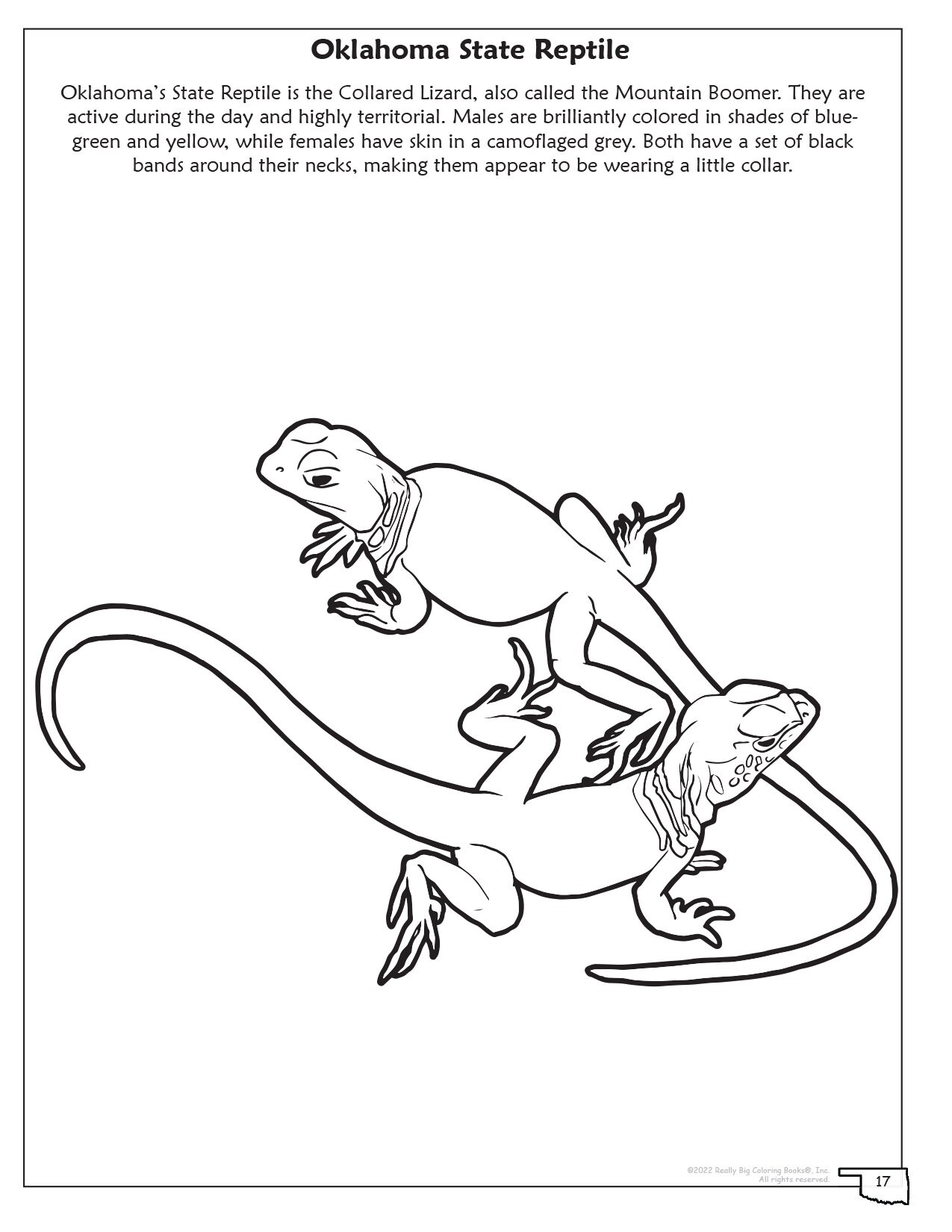 Oklahoma State Coloring Book 8.5 X 11 - Oklahoma Coloring Book ...