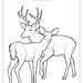 Oklahoma State Coloring Book 8.5 X 11 Oklahoma Coloring Book, Coloring ...