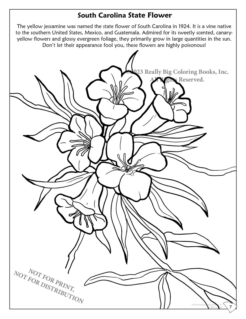 South Carolina State Coloring Book - Etsy