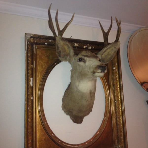 Deer Mirror - Etsy