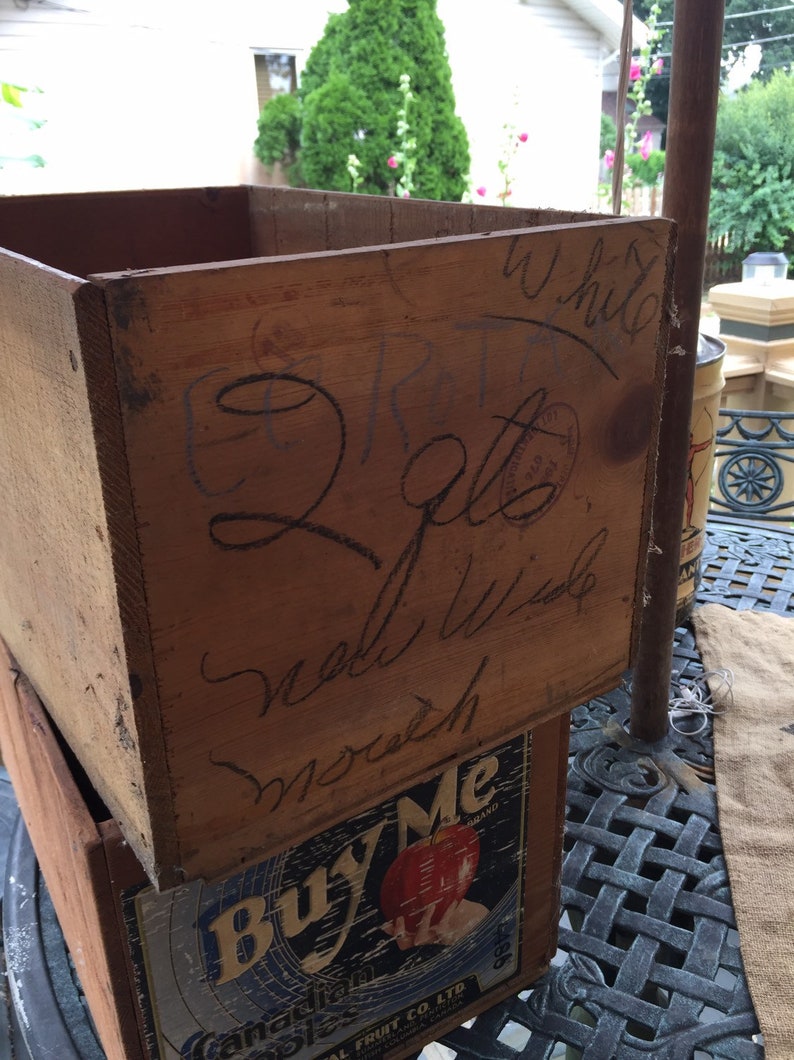 Cariboo Brand Apple Crate/box Wenoka Apples Oroville - Etsy