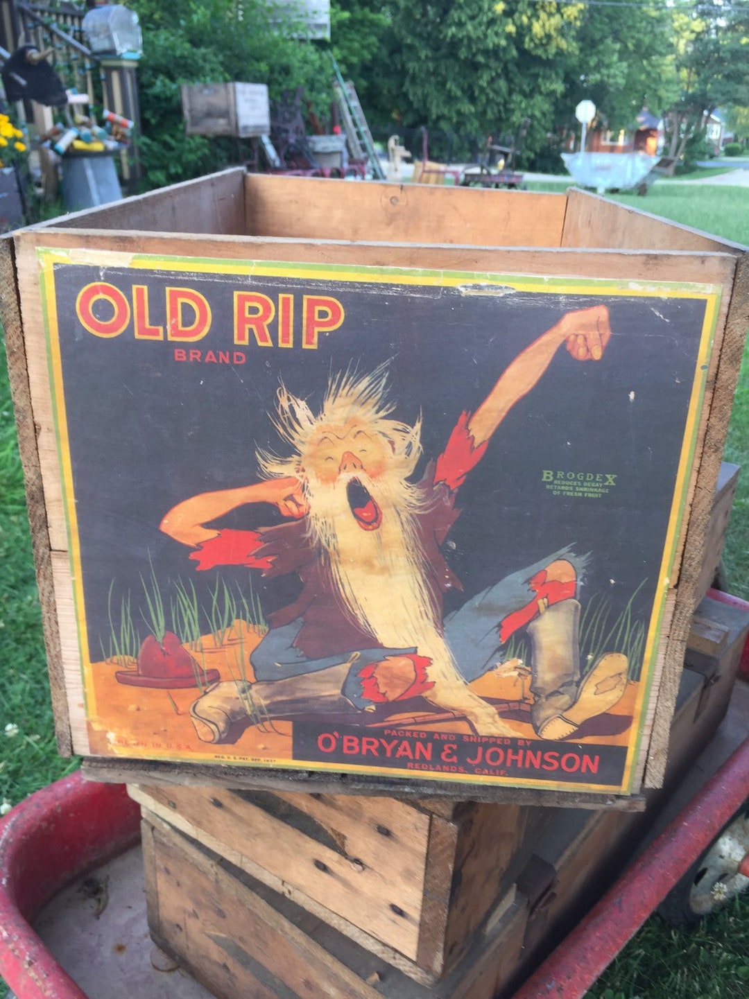 Vintage Old Rip Fruit Crate/box, O'bryan and Johnson, Redlands ...