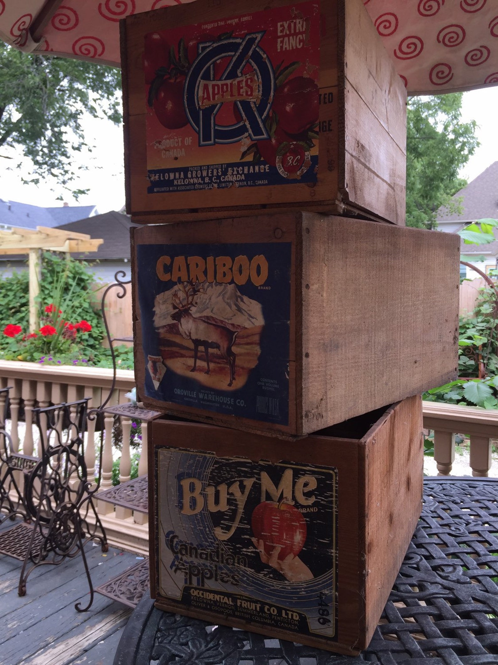 Cariboo Brand Apple Crate/box Wenoka Apples Oroville - Etsy