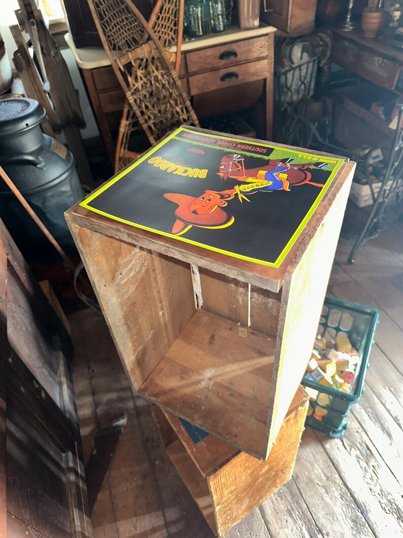 Vintage Buckaroo Brand Fruit Crate/box, Southern Citrus Association ...