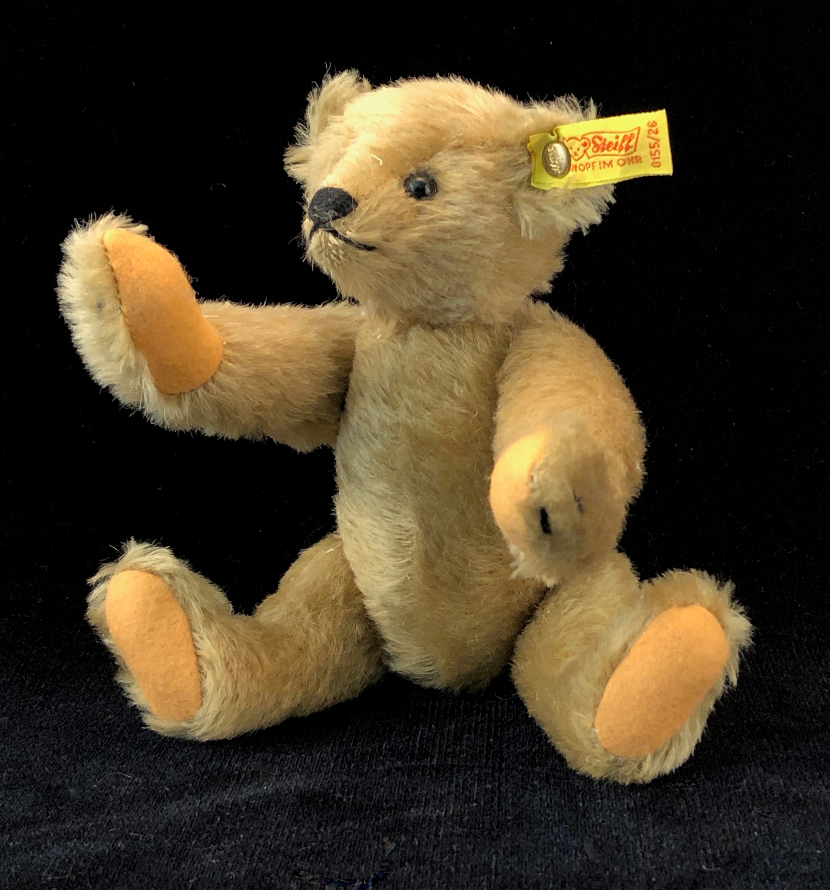 Original Steiff Bear - Etsy
