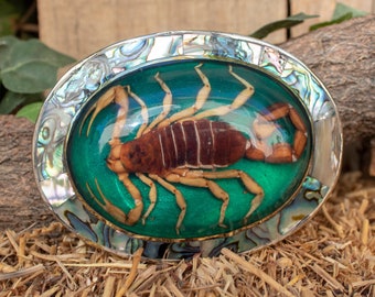 Real SCORPION ALACRAN EPOXY Abalone Handmade Oval Western Belt Buckle ...