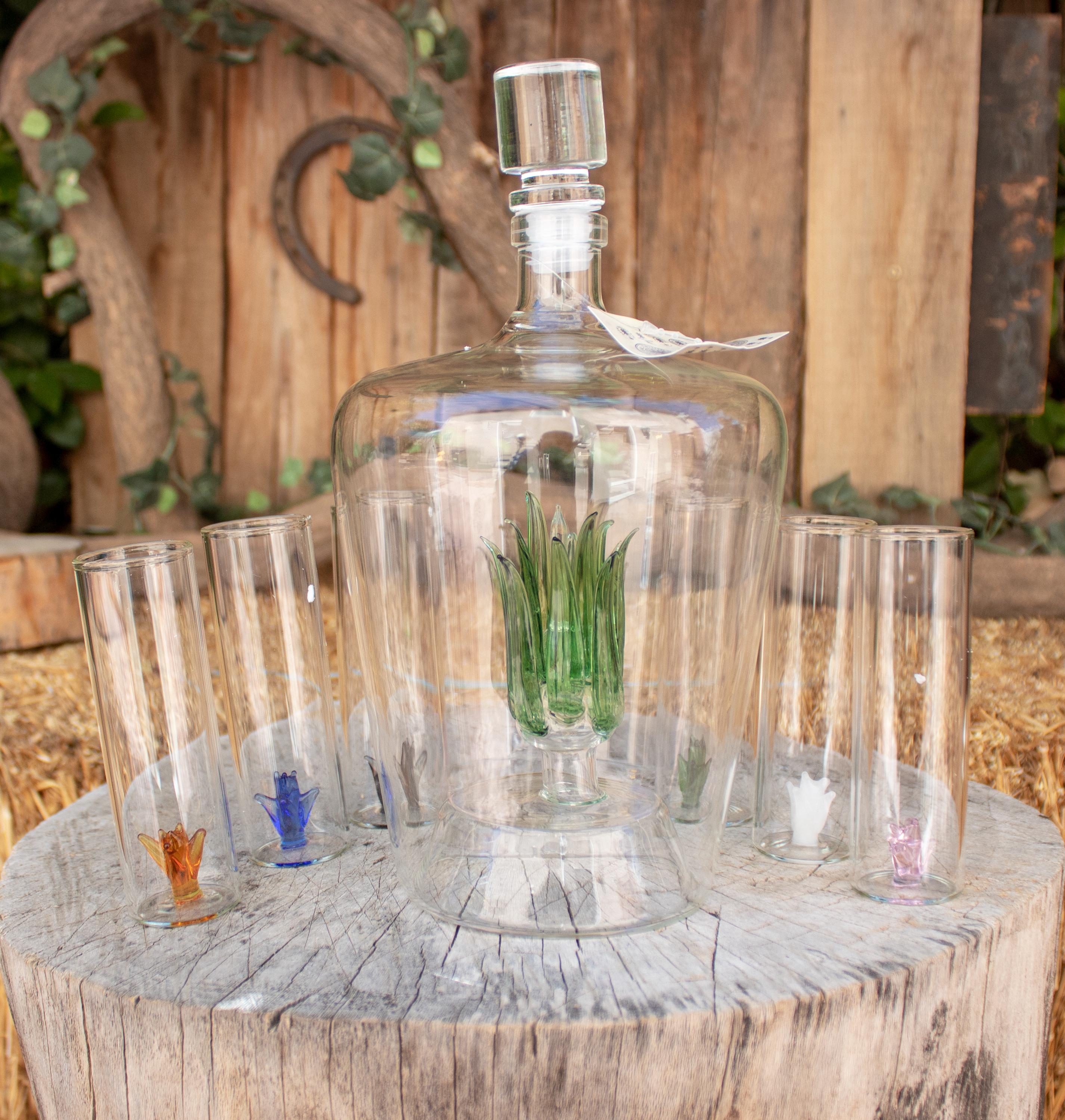 Mexican TEQUILA Mezcal Glass SHOT Agave 7 Piece SET - Etsy