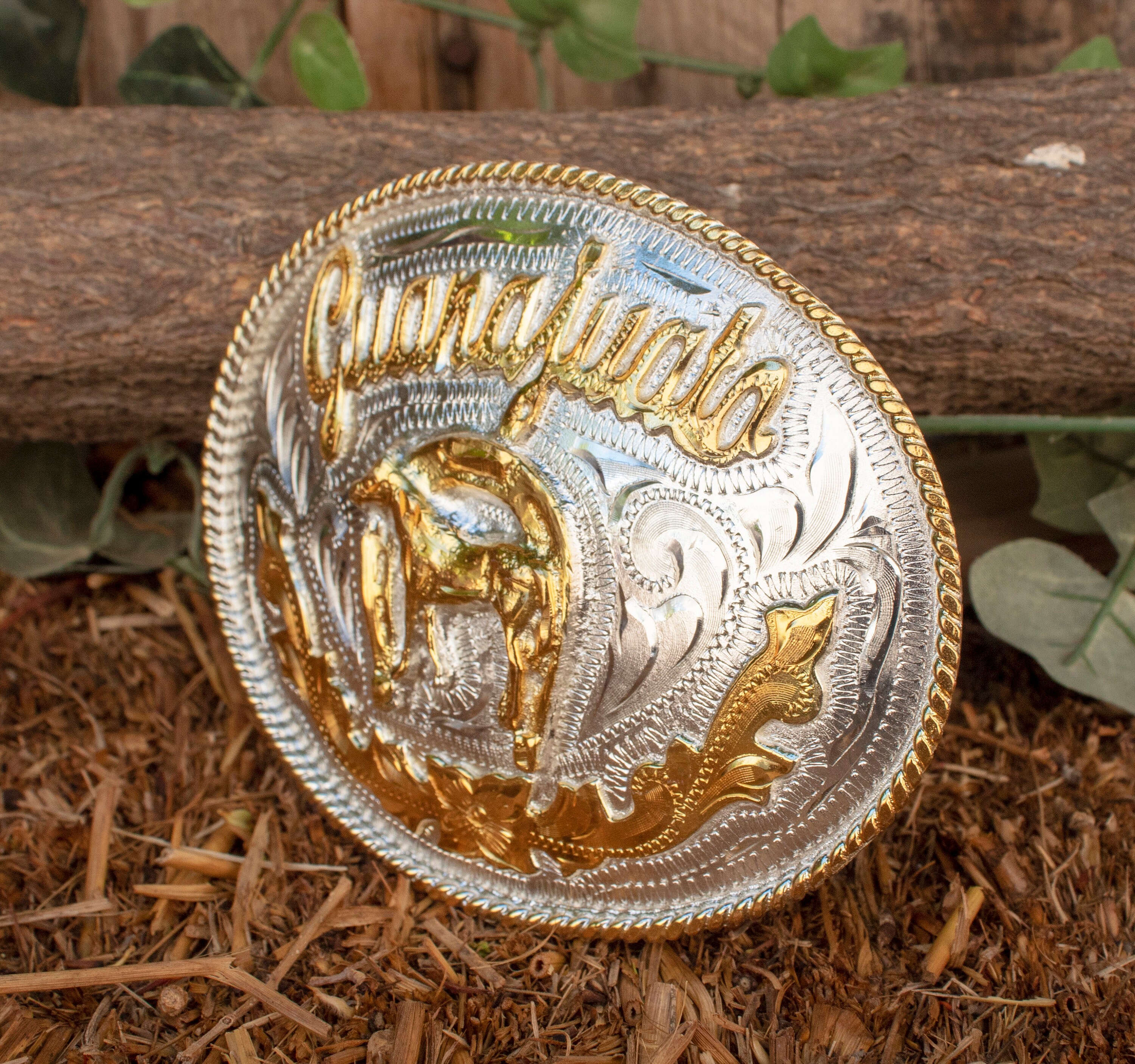 GUANAJUATO MEXICO Mariachi HORSE Engraved Cowboy Western Horseshoe ...