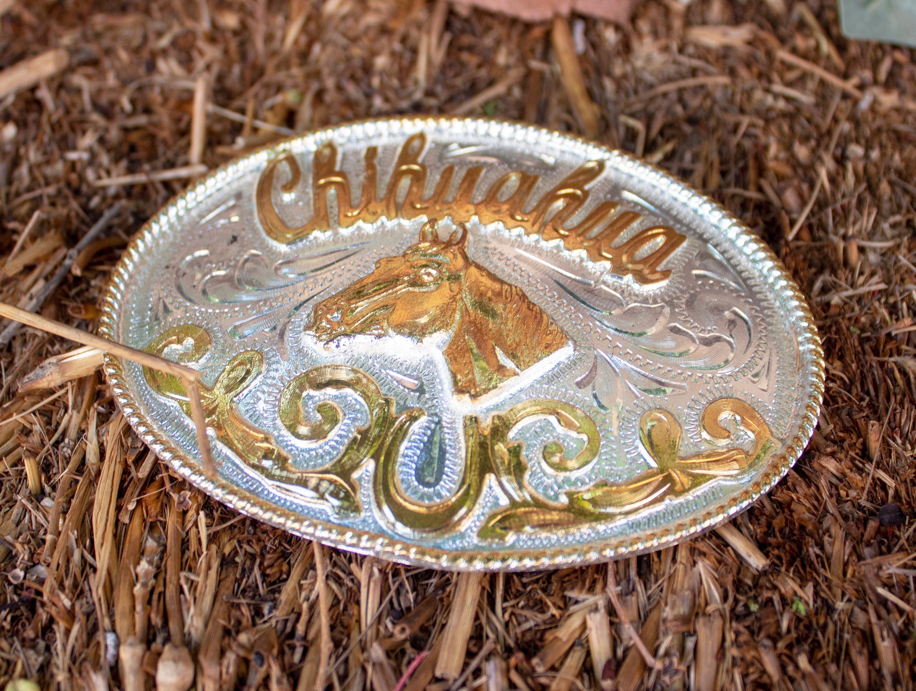 CHIHUAHUA Mexico MARIACHI HORSE Engraved Cowboy Western Alpaca Belt ...