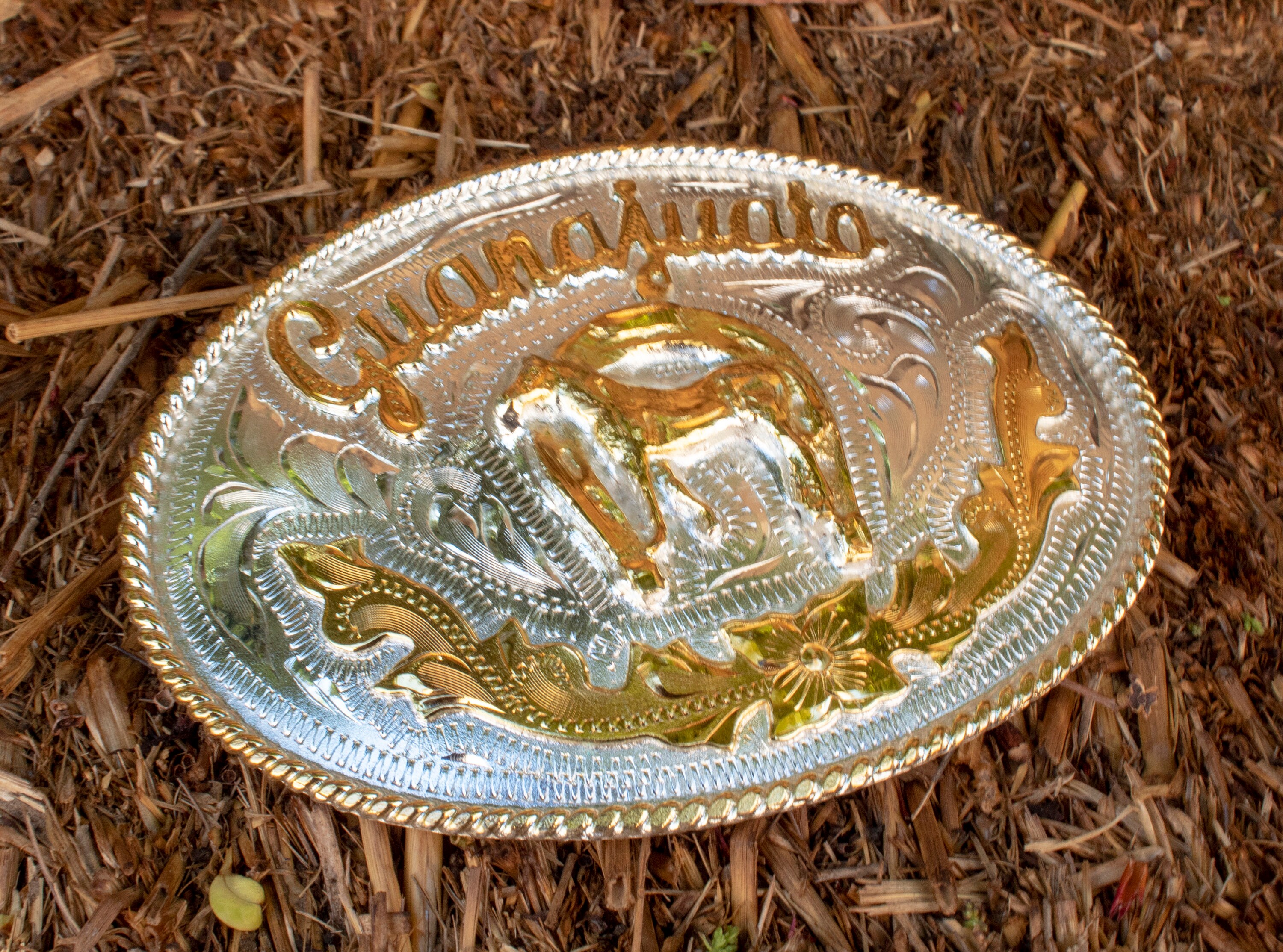 GUANAJUATO MEXICO Mariachi HORSE Engraved Cowboy Western Horseshoe ...
