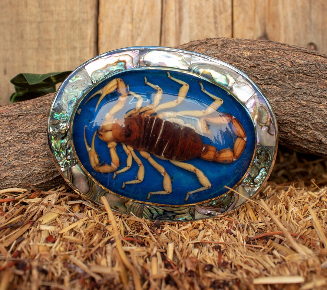 Real SCORPION ALACRAN EPOXY Abalone Handmade Oval Western Belt Buckle ...