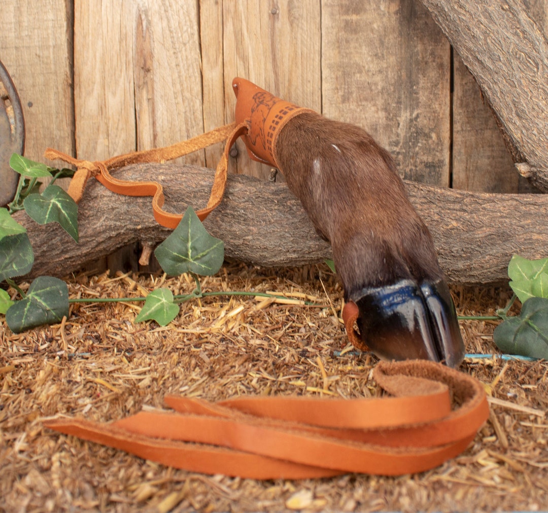 Real CALF FOOT HOOF Handle Leather Riding Horse Whip Cuartas Pata De ...