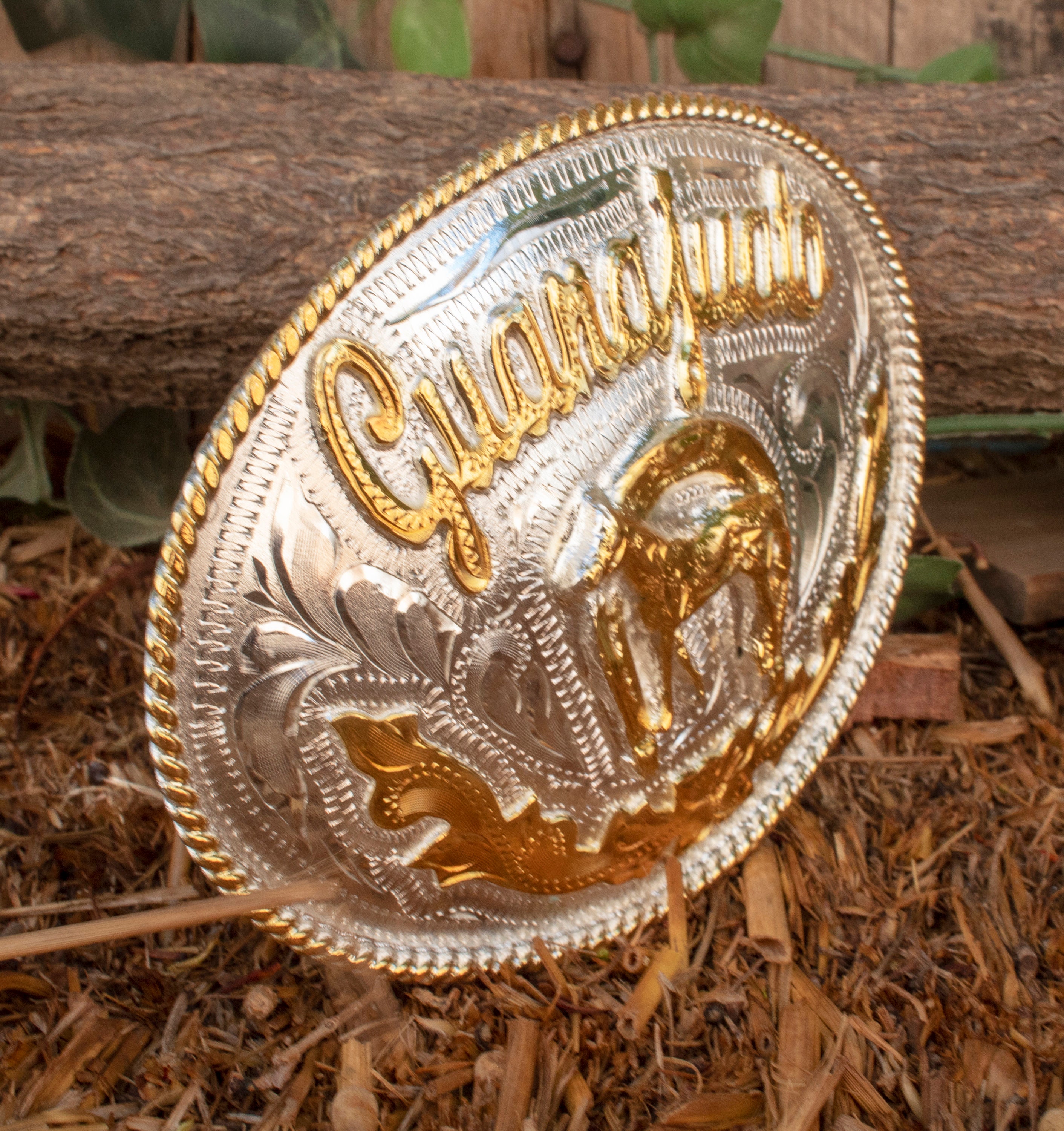 GUANAJUATO MEXICO Mariachi HORSE Engraved Cowboy Western Horseshoe ...