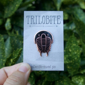 Trilobite Enamel Pin - Etsy