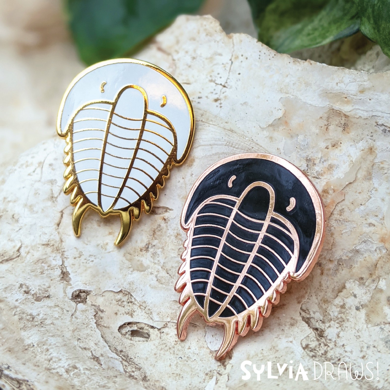 Trilobite Enamel Pin - Etsy