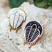 Trilobite Enamel Pin - Etsy