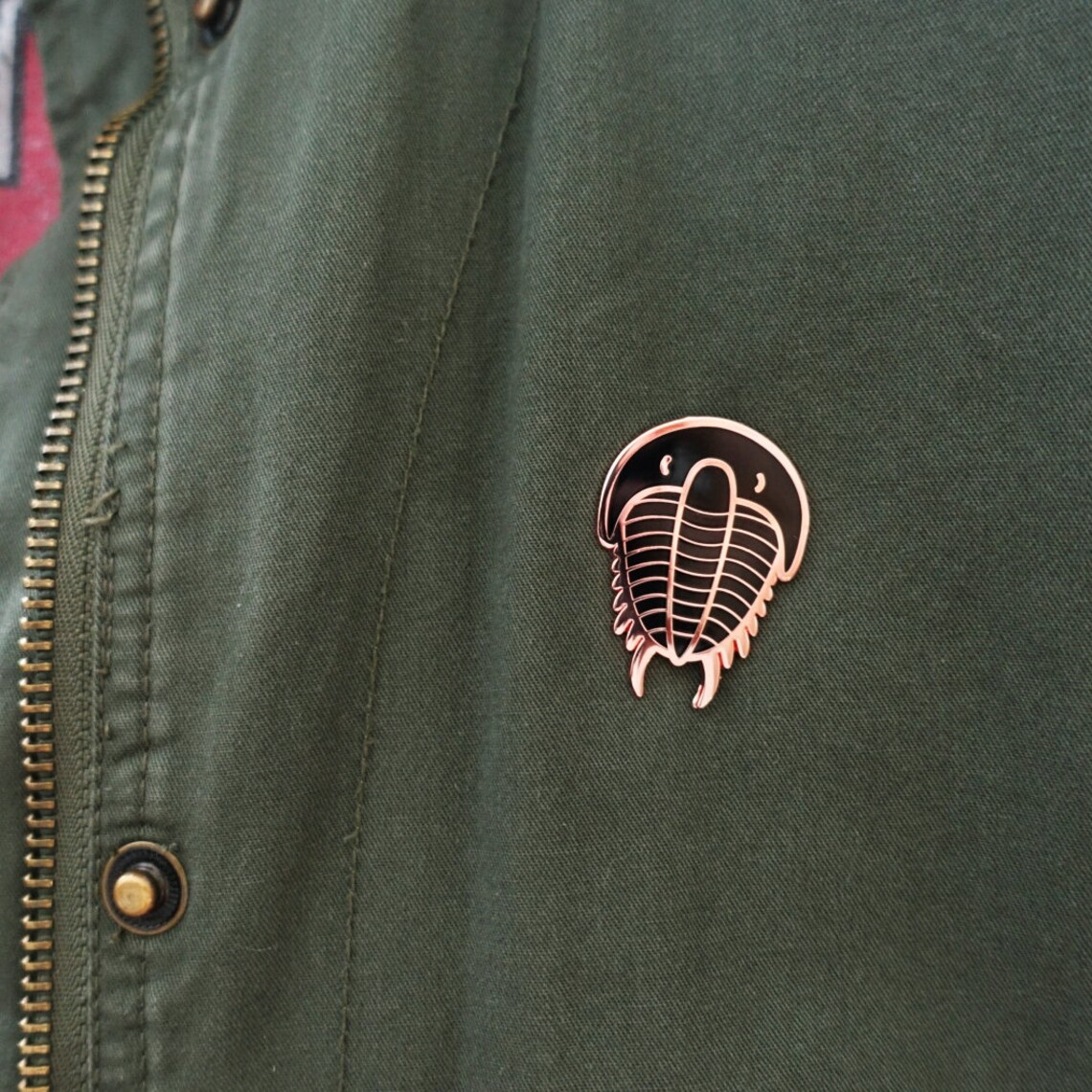 Trilobite Enamel Pin - Etsy