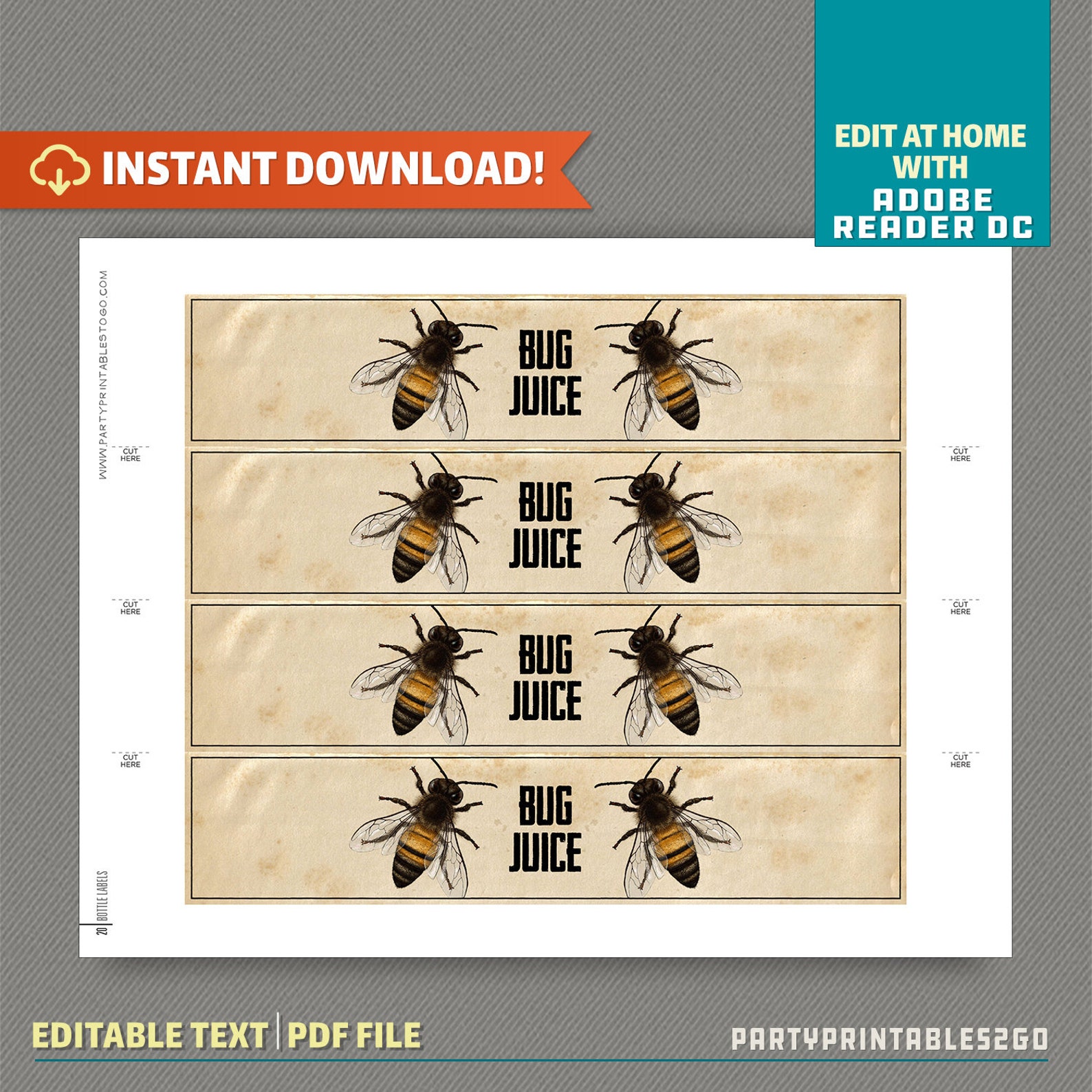 Bug Party Bottle Labels Bug Party Napkin Rings INSTANT - Etsy