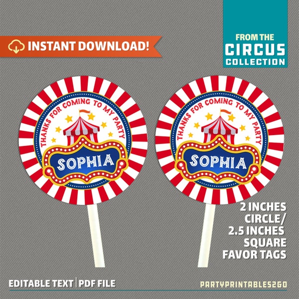 Circus Party Theme - Etsy