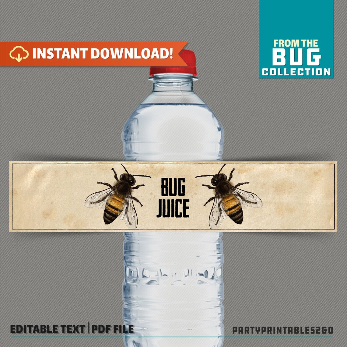 Bug Party Bottle Labels Bug Party Napkin Rings INSTANT - Etsy