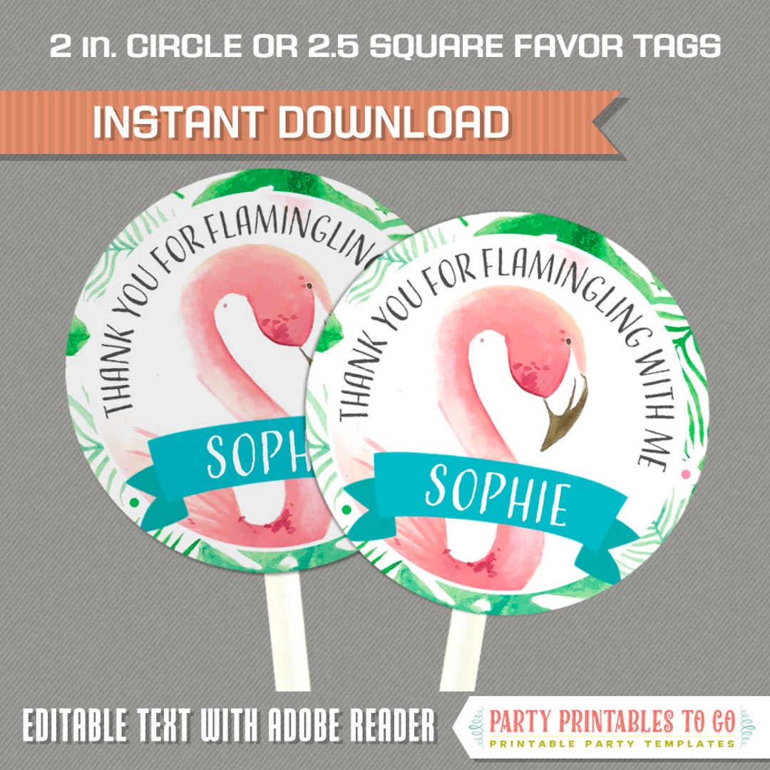 Flamingo Party Favor Tags - Flamingo Birthday Party - INSTANT DOWLOAD ...