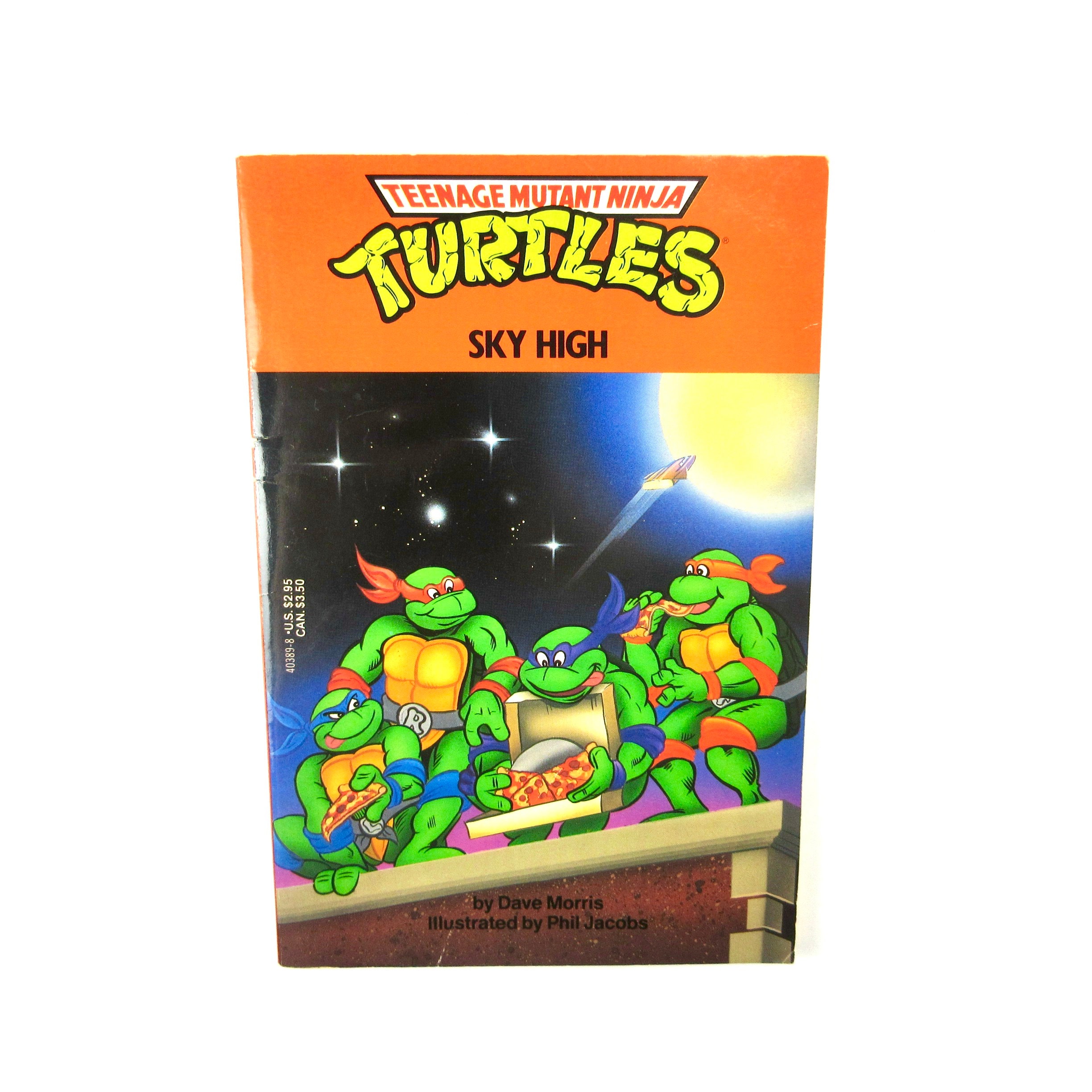 Vintage Teenage Mutant Ninja Turtles Sky High TMNT ©1990 Yearling Books ...