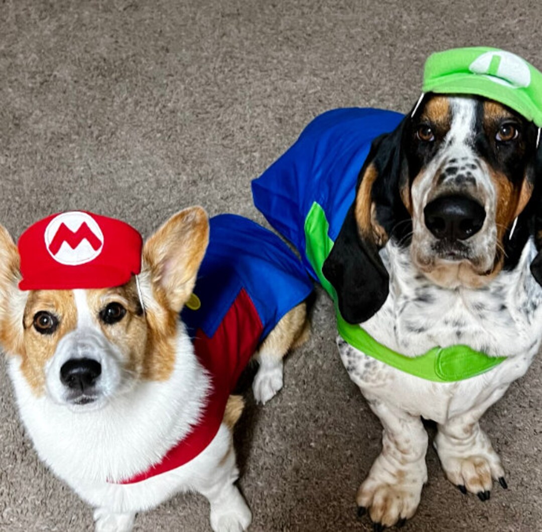 Mario & Luigi Dog Harness: Halloween Pet Costume With Cap - Etsy