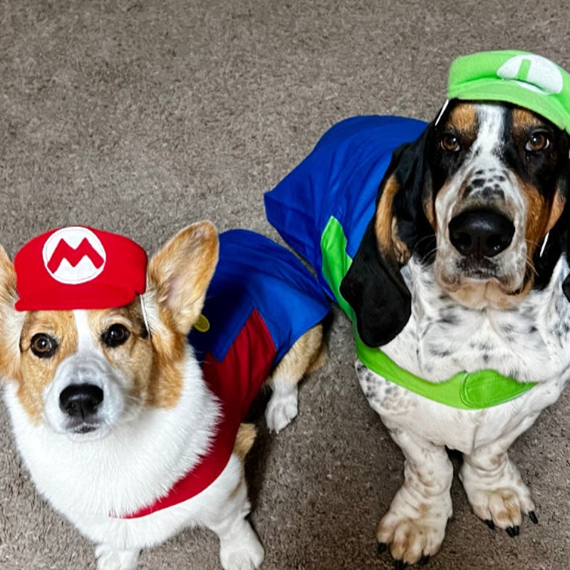 Mario Dog Costume - Etsy