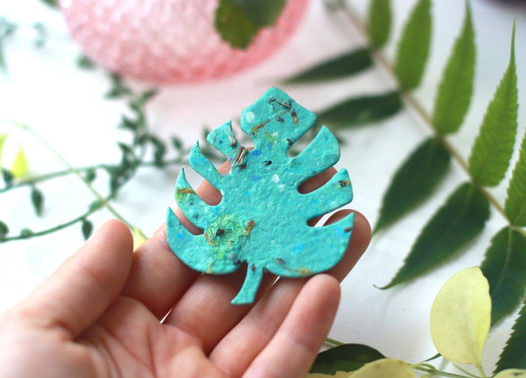 Plantable Paper Monstera Leaf With Seeds & Petals - Wildflower Paper ...