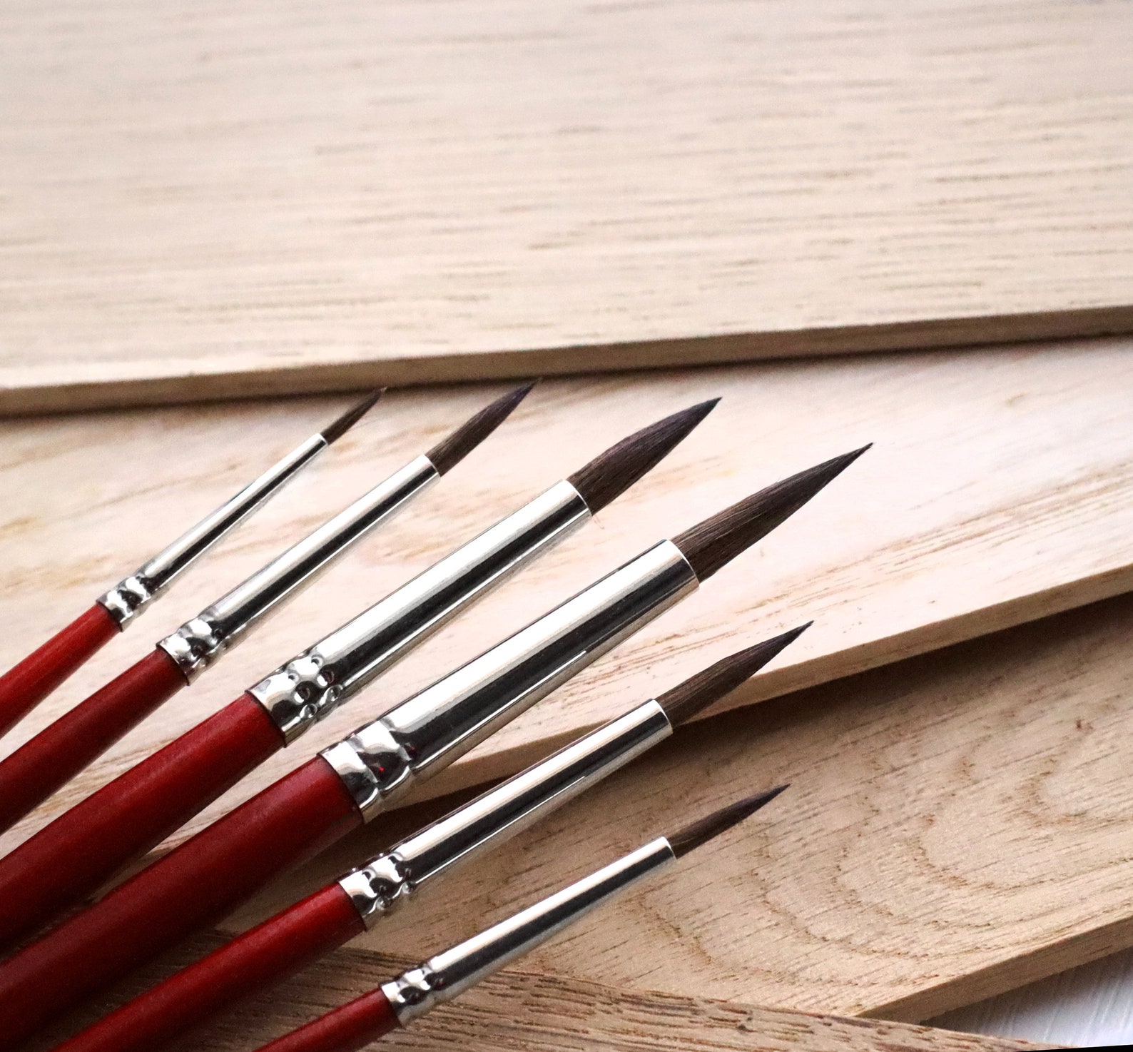 Set of 6 Pointy Paint Brushes - Sizes 2, 4, 6, 8, 10, 12 - Watercolor ...