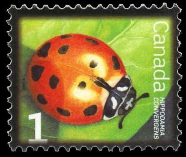 Wonderful Ladybug Postage Stamp Sheet / Collectors Collage | Etsy