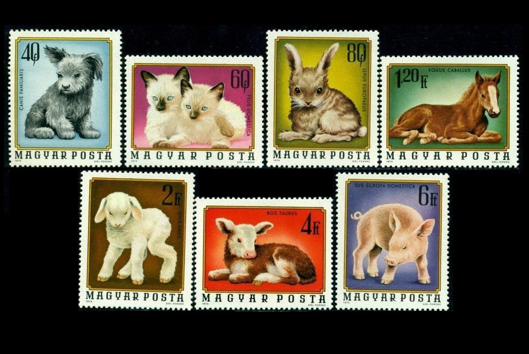 Cute Barnyard Baby Animal Postage Stamps / Rabbit, Puppy, Kitten, Calf ...