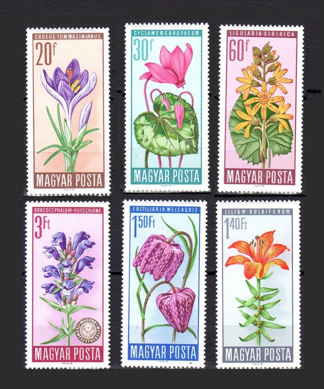 Gorgeous Vintage Flower Postage Stamp Set / Large Size for - Etsy