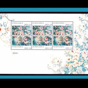 Azaleas Picture Cards - Etsy