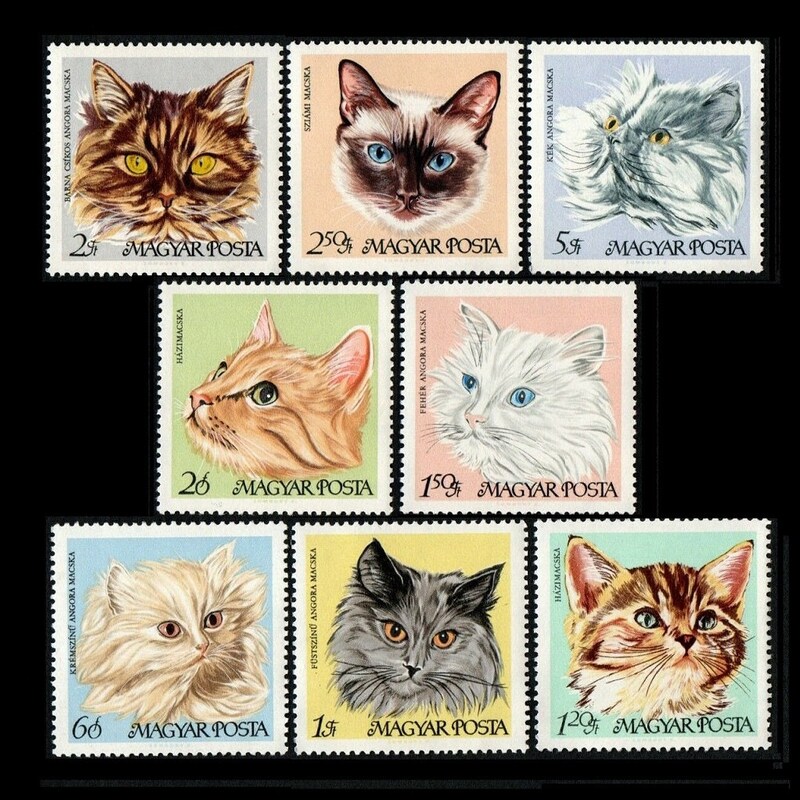 Cat Stamp - Etsy