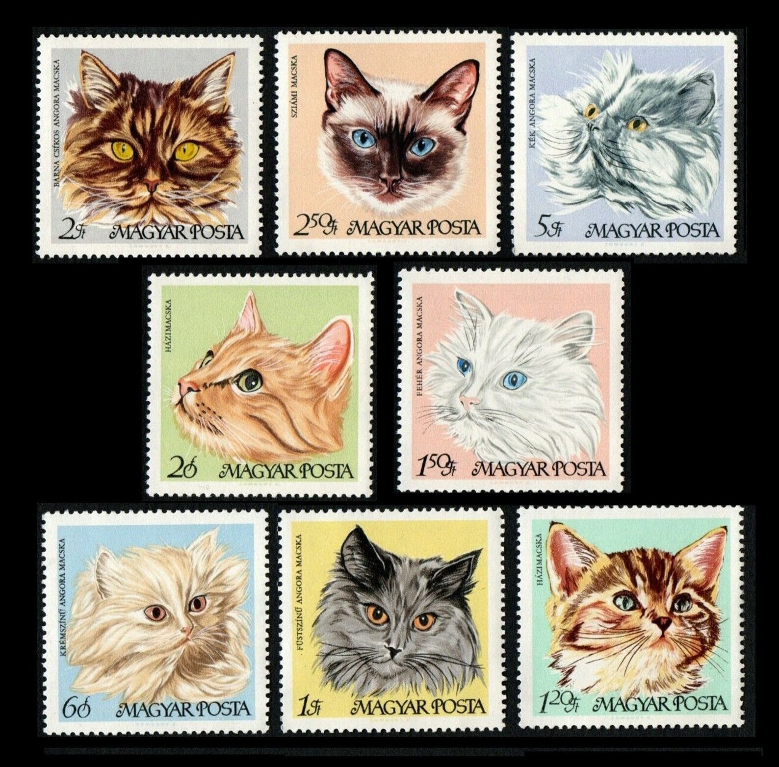 Set of 8 Vintage Cat Postage Stamps / 1968 Hungary / Siamese | Etsy