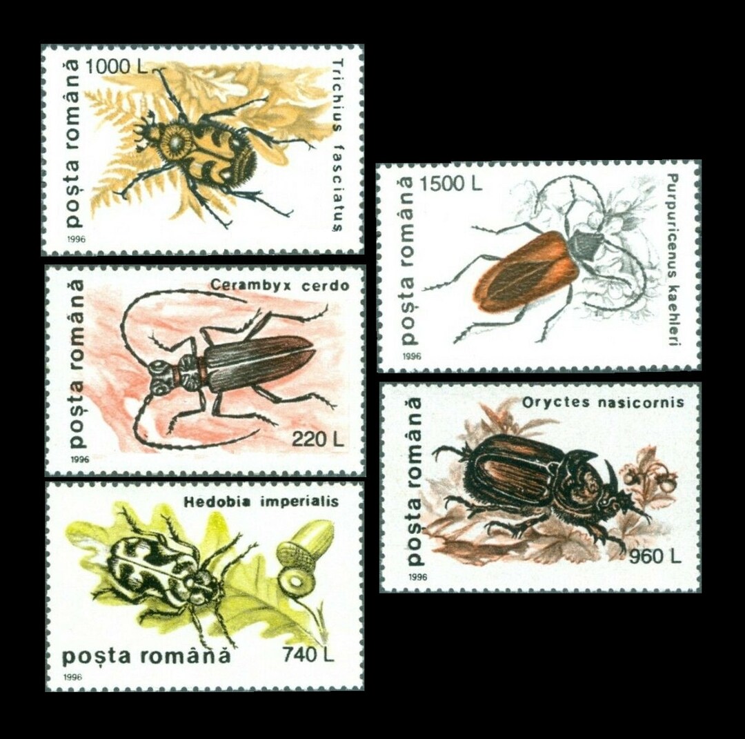Beetle Insect Series on 1996 Romania Postage Stamps / Longhorn ...