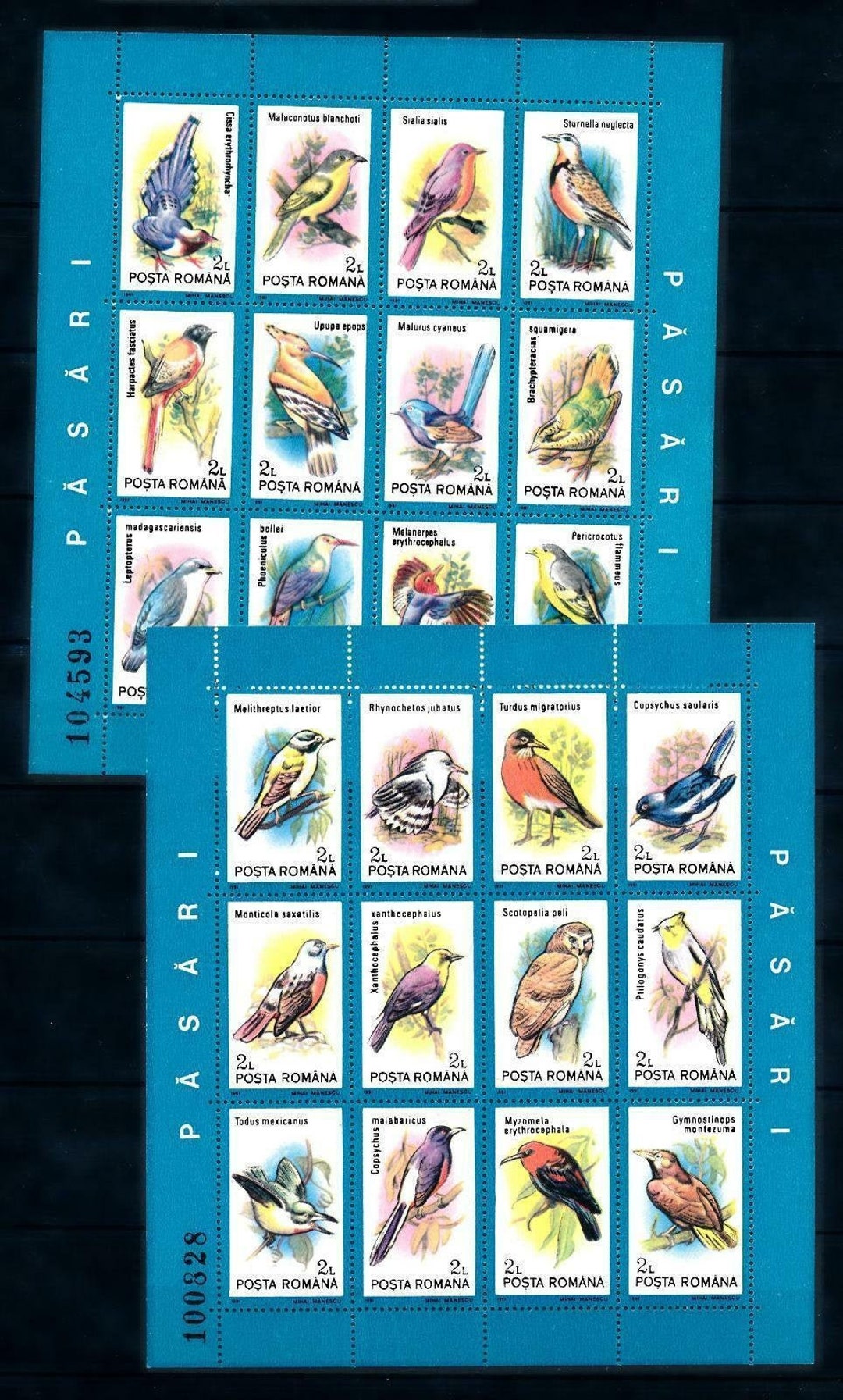 1991 Birds of the World Postage Stamp Sheets / Woodpecker, Owl, Robin ...