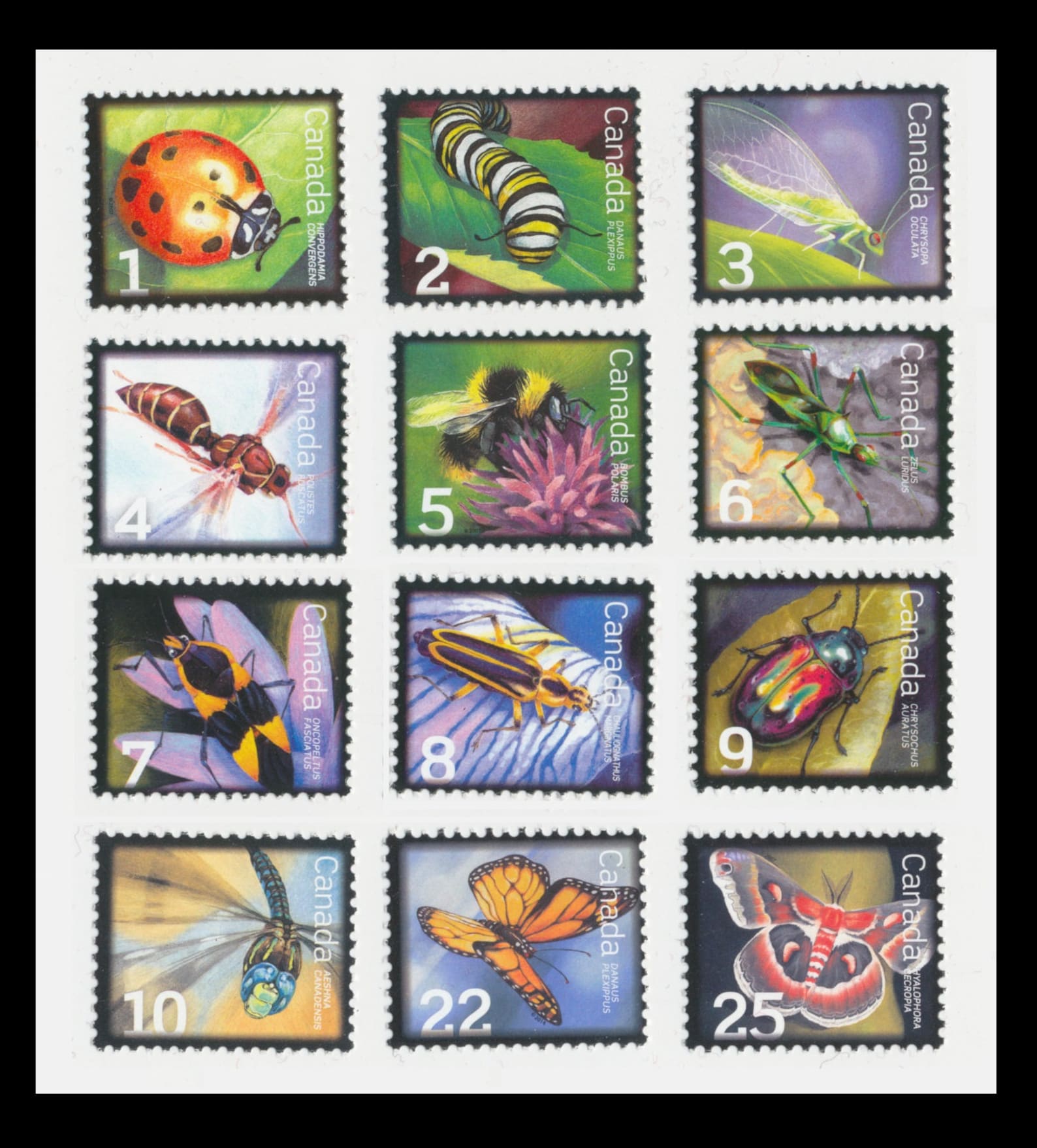 Beneficial Insects on Canada Postage Stamp Series / Paper - Etsy