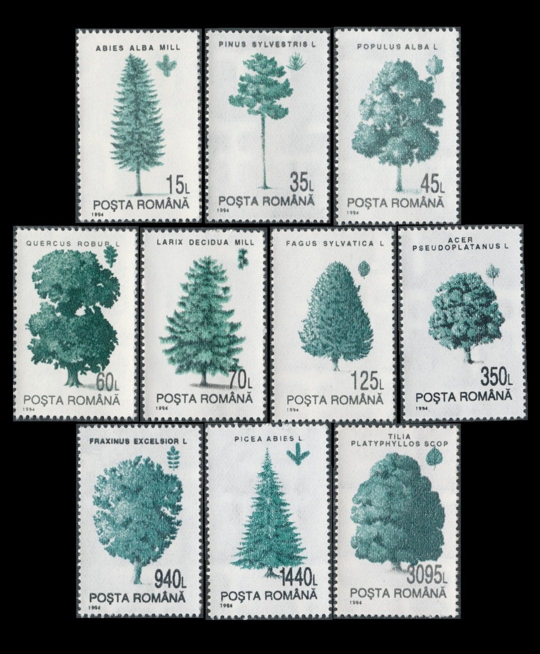 Green Trees on 1994 Romania Postage Stamps / Spruce, Poplar, Silver Fir ...
