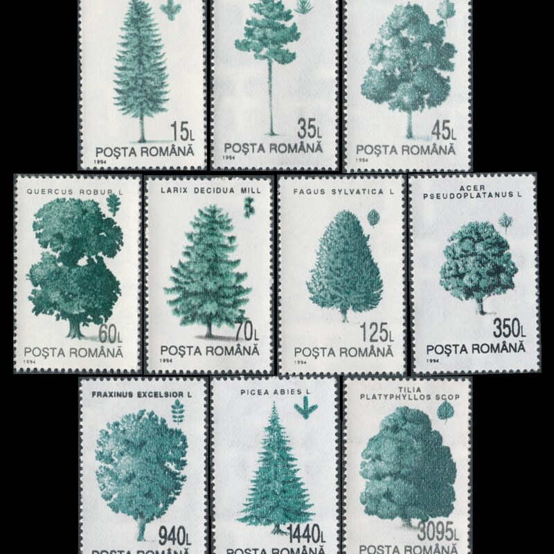 Pine Tree Stamp - Etsy