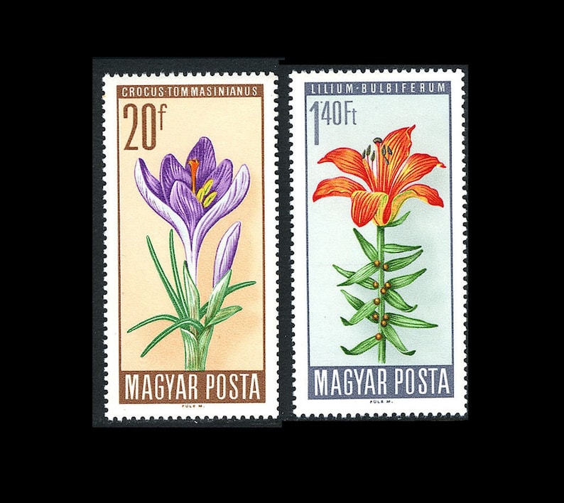Gorgeous Vintage Flower Postage Stamp Set / Large Size for - Etsy