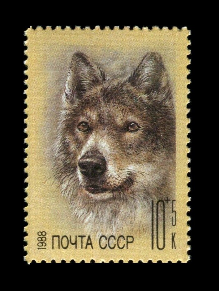 Wild Animals on 1988 Russian Postage Stamps / Vintage Soviet - Etsy