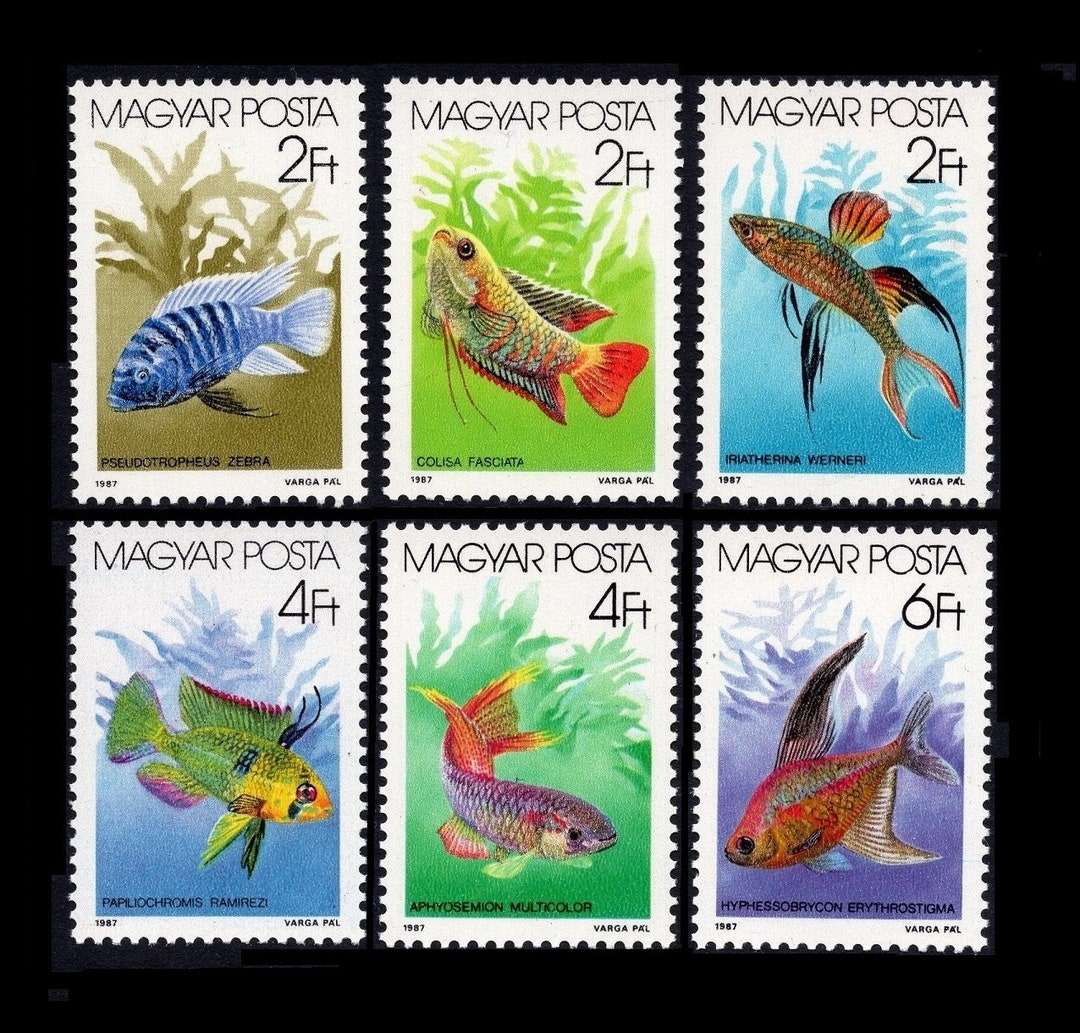 Colourful, 1987 Aquarium Fish Postage Stamps / Kids Crafts, Beach Party ...