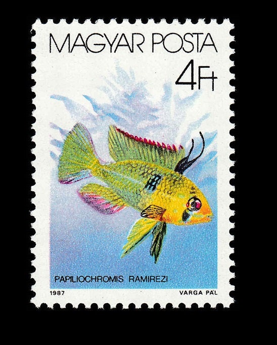 Colourful 1987 Aquarium Fish Postage Stamps / Kids Crafts - Etsy Canada