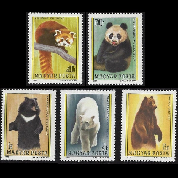 Red Panda Bear - Etsy