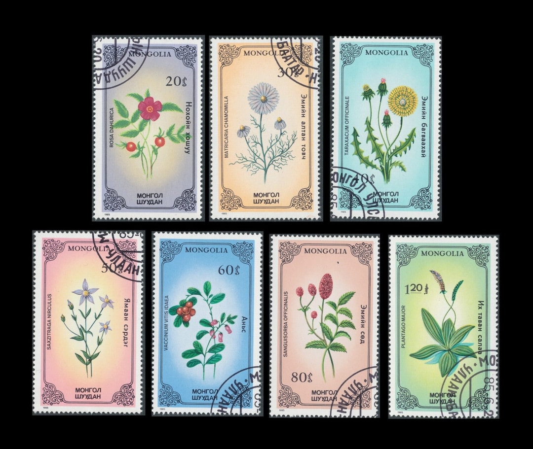Indigenous Wildflowers 1985 Mongolia Postage Stamps / Chamomile, Wild ...