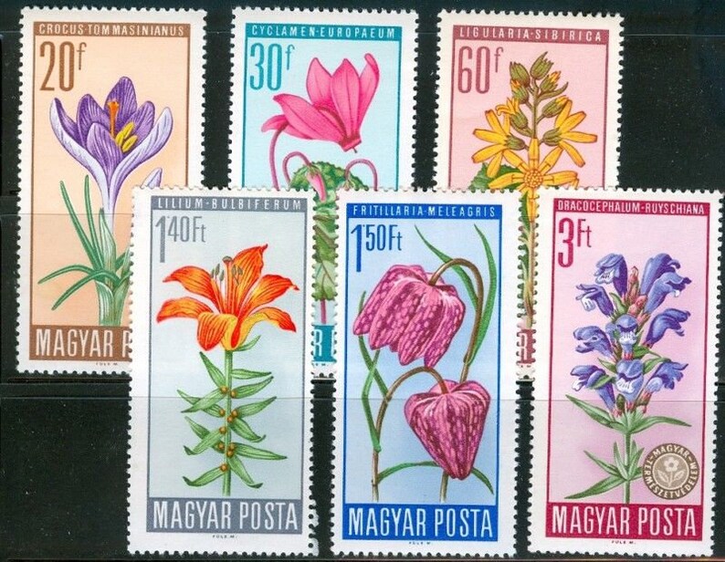 Gorgeous Vintage Flower Postage Stamp Set / Large Size for Arts and ...